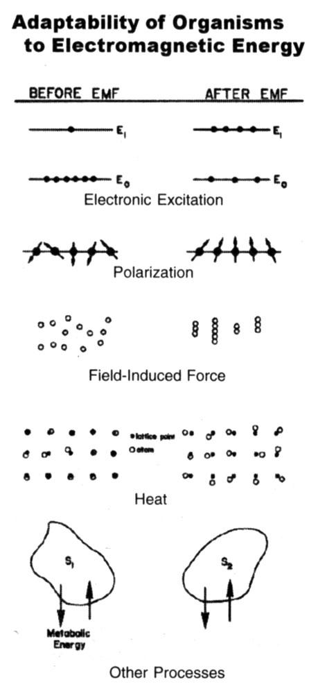 Tesla High Voltage Electrotherapy - History and Science | Tesla Universe