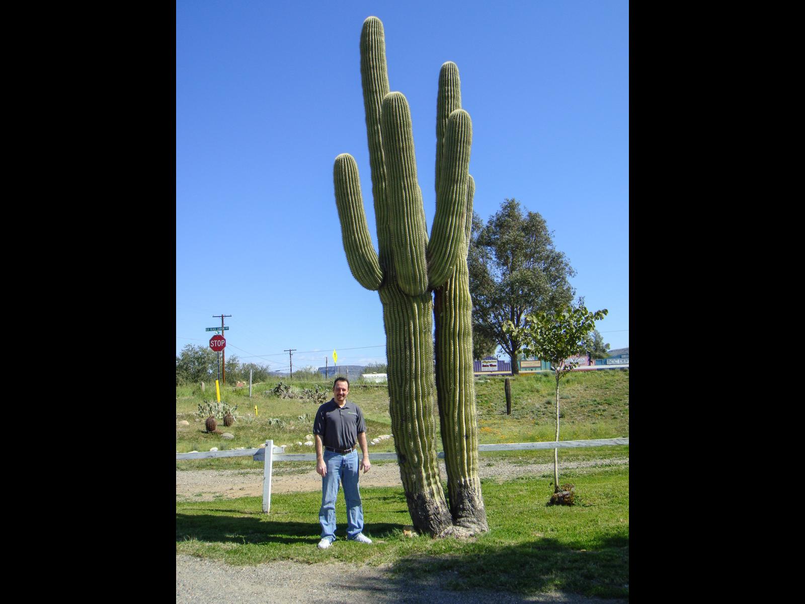 Cameron Prince - Tesla Universe